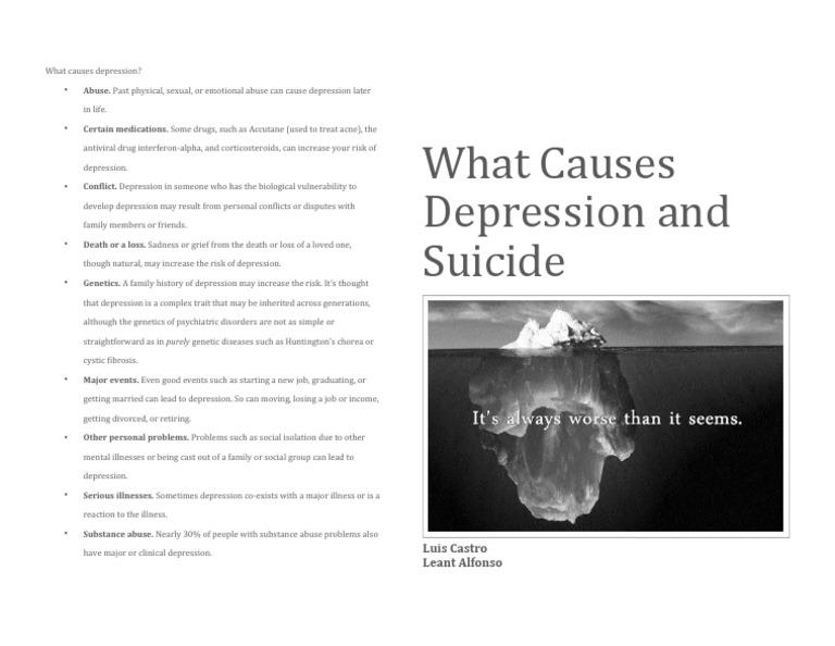 Causes of Depression Explained | PDF
