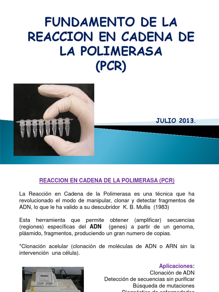 Fundamento PCR.ppt