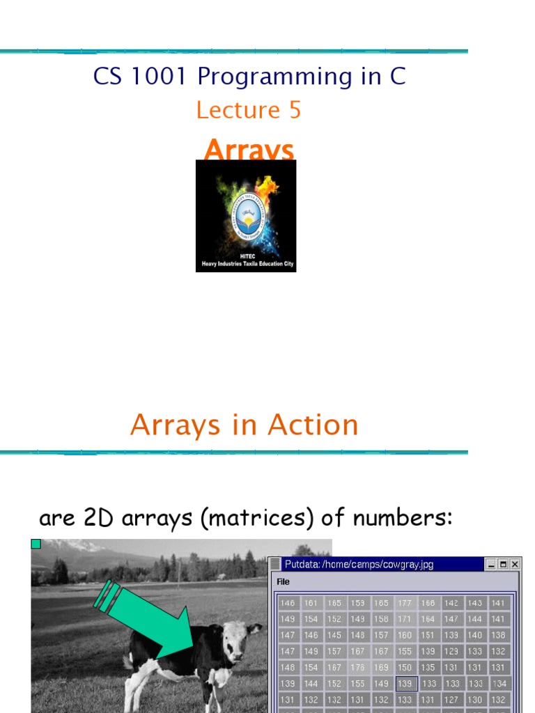 CS 1001 Programming in C Lecture 5 | Array Data Type | Matrix (Mathematics)