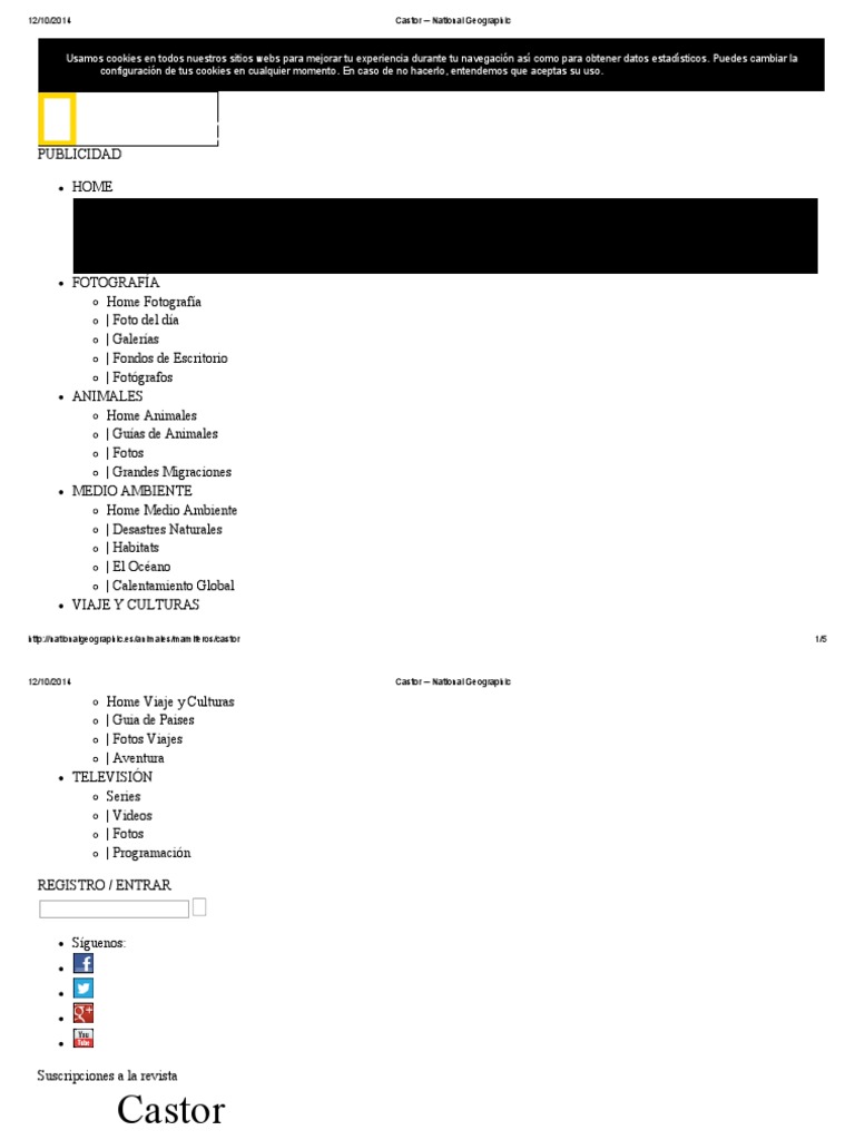 Castor - National Geographic PDF | PDF | Castor | Science