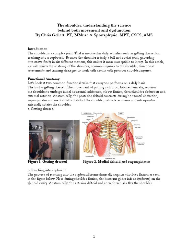 The Shoulder: Understanding The Science Behind Both Movement and ...