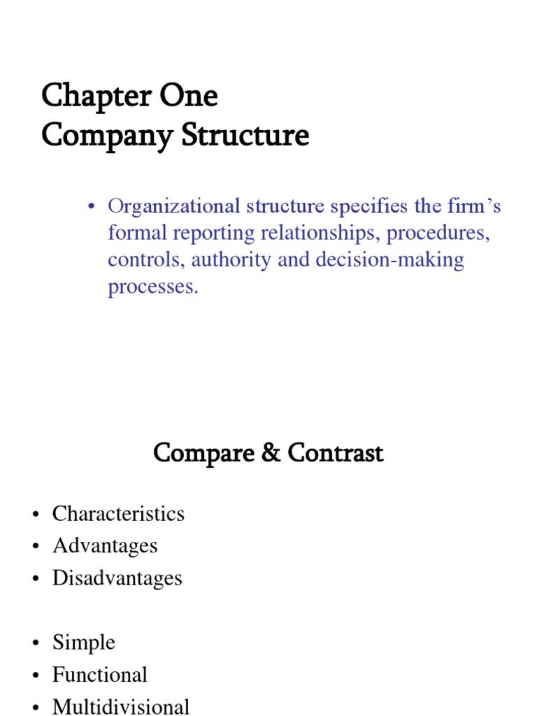 Chapter One Company Structure | PDF | Organizational Structure | Business