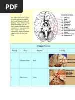 History of Simple Machines | PDF