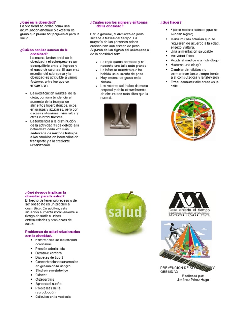 Triptico - Obesidad | PDF