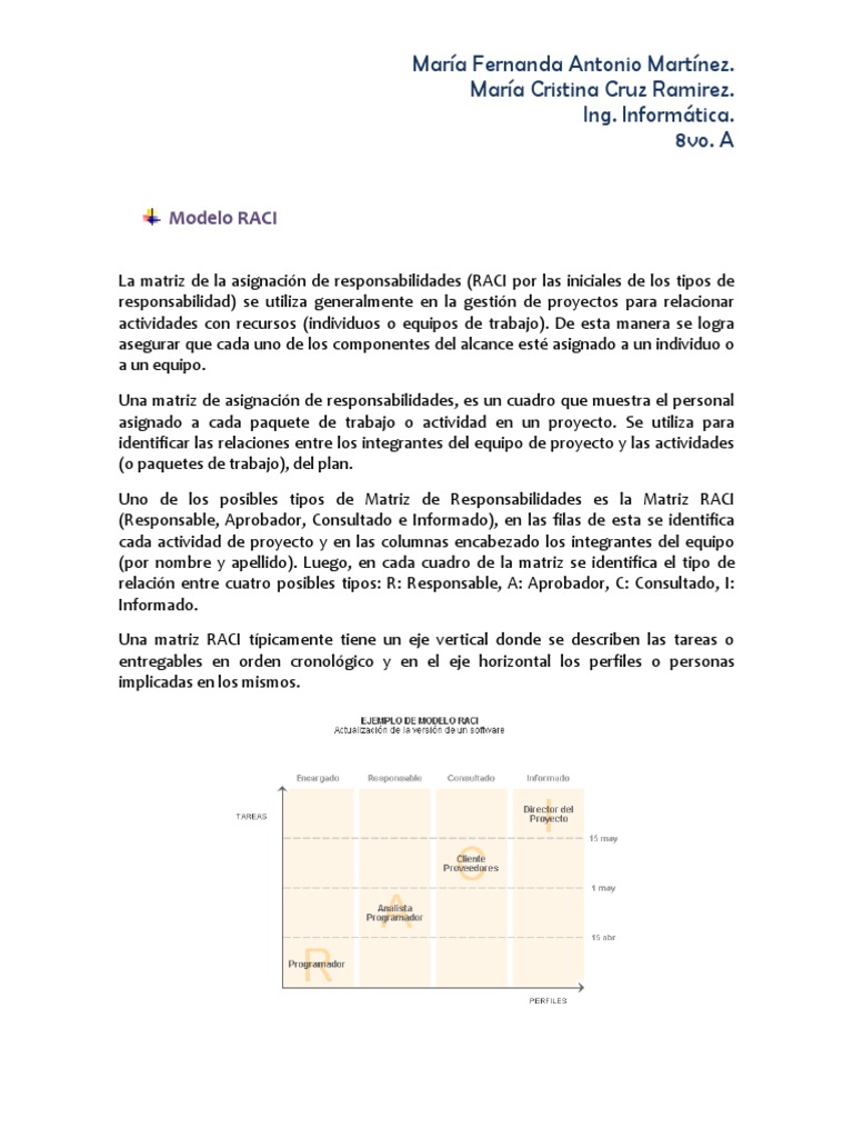 Modelo Rasi | PDF | Informática | Software