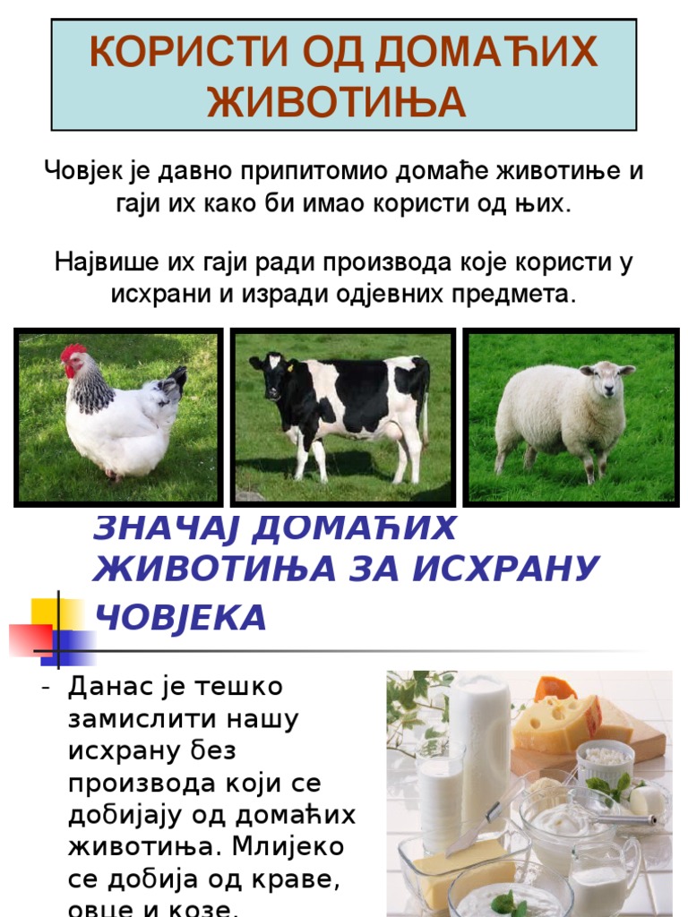 Koristi Od Domacih Zivotinja | PDF