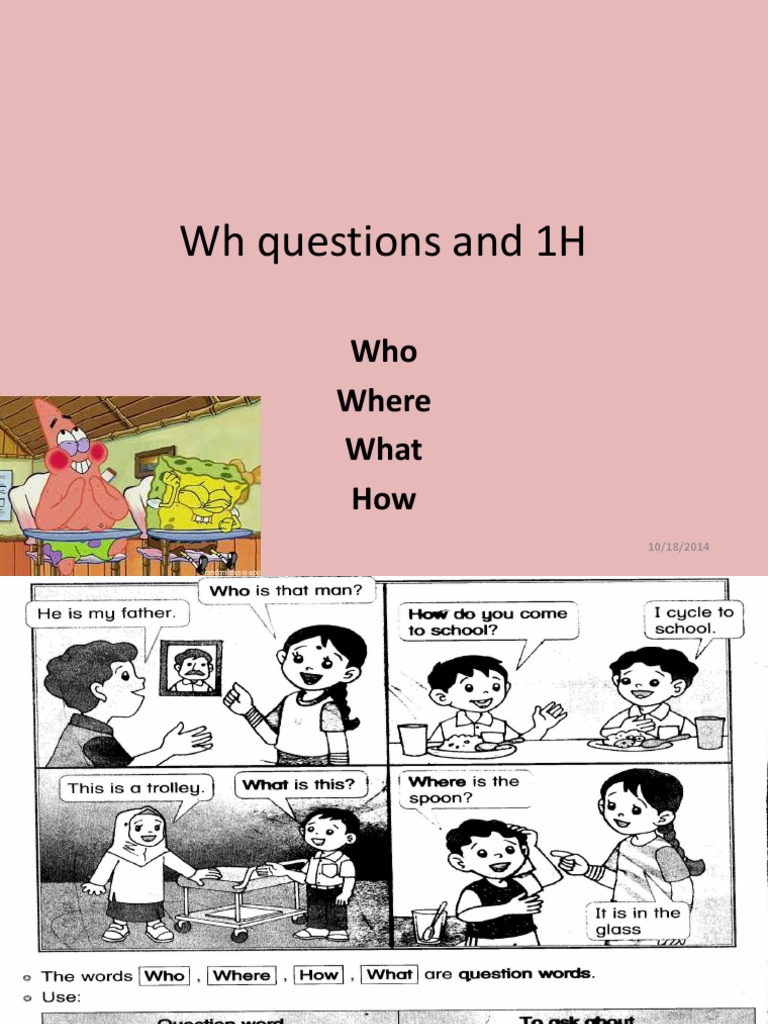WH Questions and 1H: Who Where What How | PDF