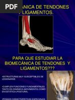 Anatomía y Biomecánica de Tendones y Ligamentos | PDF | Tendón | Anatomía