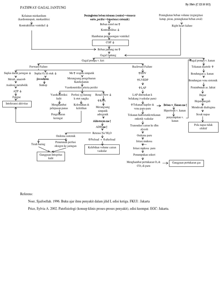 Pathway Gagal Jantung PDF