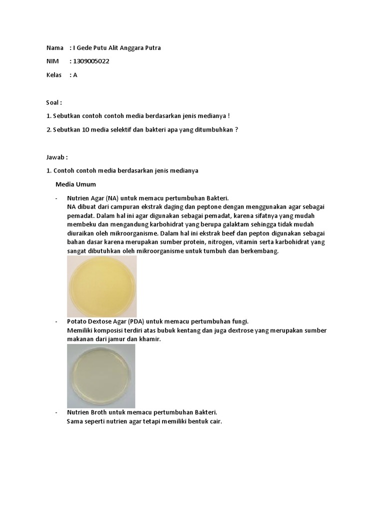 Media Pertumbuhan Bakteri | PDF | Memasak, Makanan, & Anggur ...