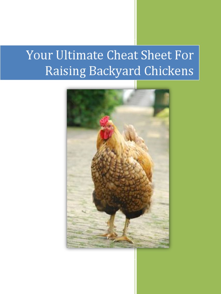 PDF | PDF | Chicken | Domestication