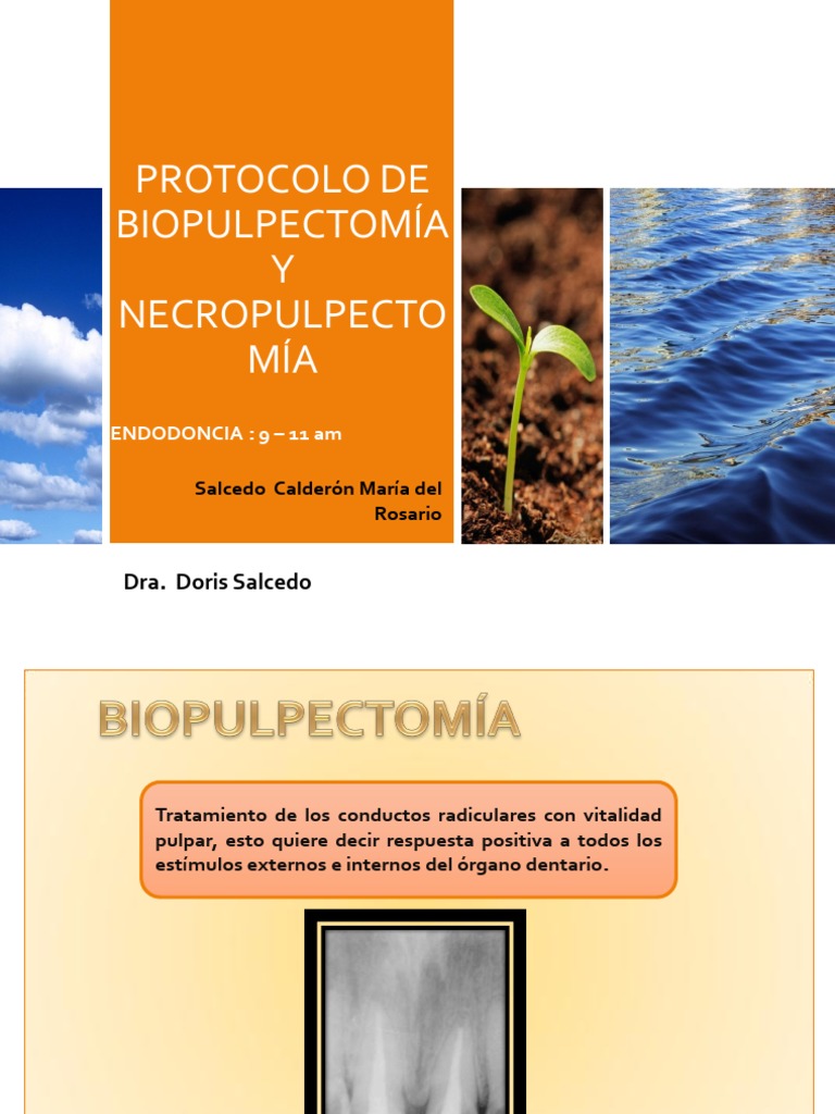 Protocolo de Biopulpectomía y Necropulpectomía