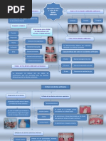 Tabla de Medidas para Dientes Permanentes | PDF | Anatomia dental | Diente
