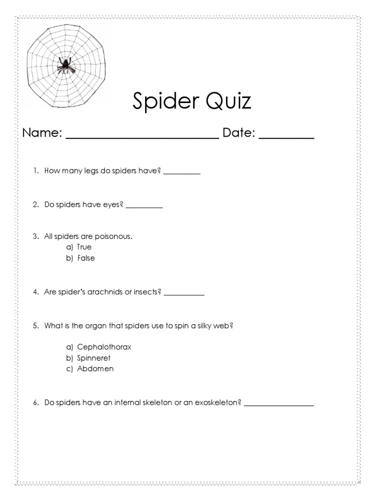 Spider Quiz: Name: - Date | PDF