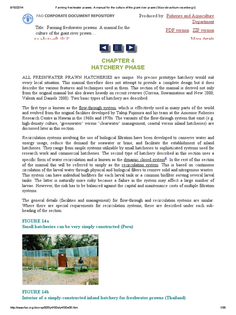 Hatchery Phase: Produced By: Title: Farming Freshwater Prawns. A Manual ...