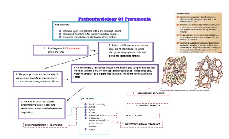 Pneumonia Pathophysiology Guide | PDF