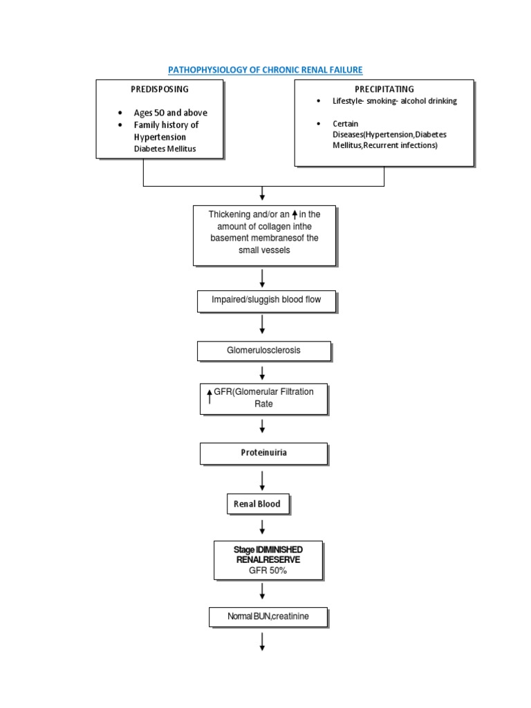 Chronic Kidney Disease Pathophysiology
