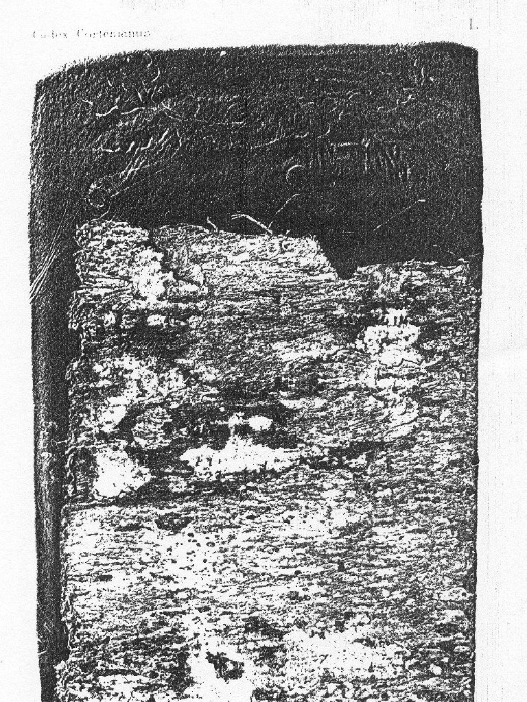 Mayan Codex - Madrid Codex 1 of 6 | PDF