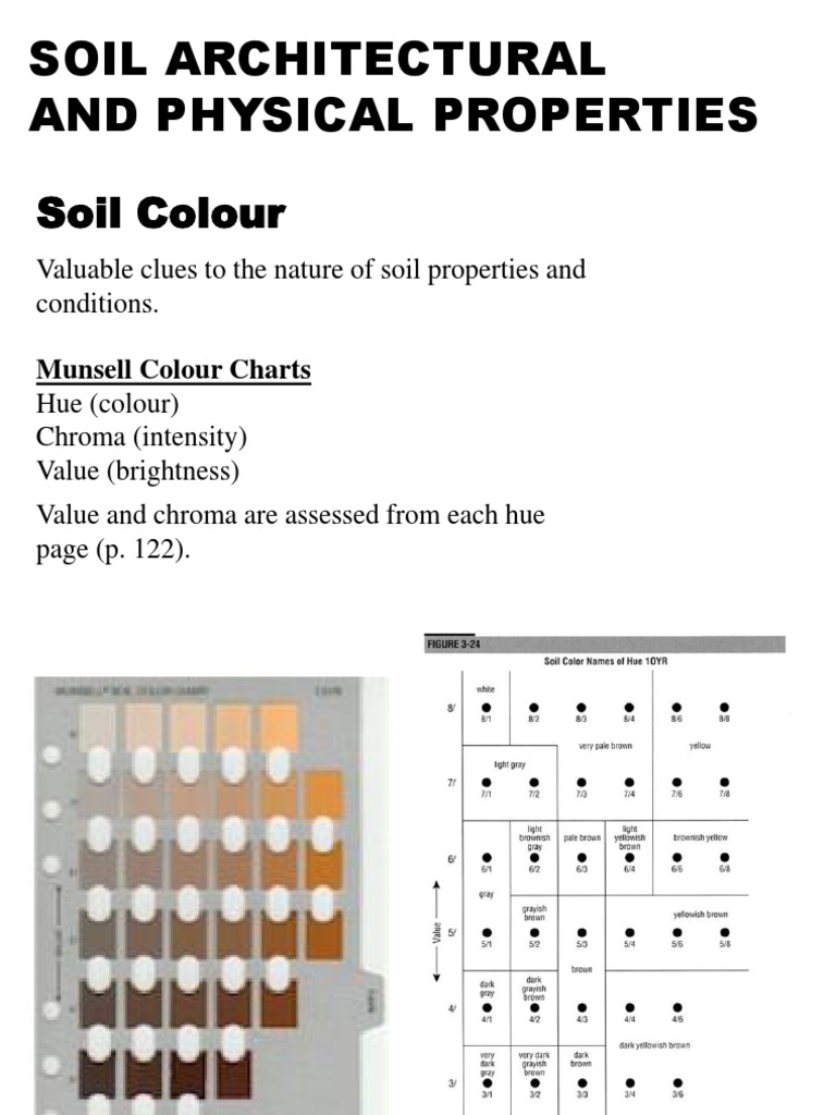 Soil Architectural and Physical Properties | PDF | Porosity | Soil