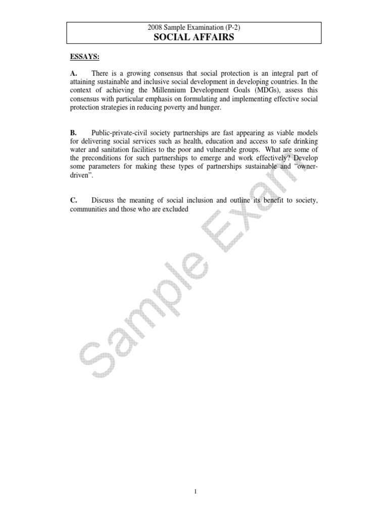 UN YPP - Social Affairs Sample 2008 | PDF