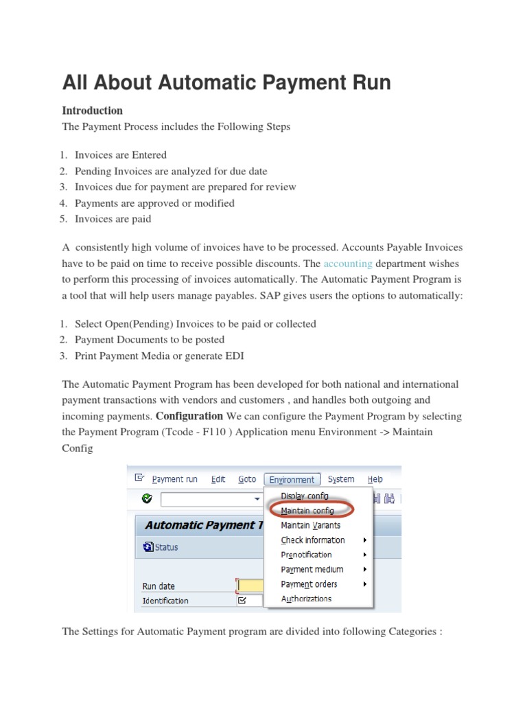 SAP Automatic Payment Run Guide | PDF