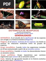 Evolución de Insectos: Cronología y Origen | PDF | Insectos | Escala de ...