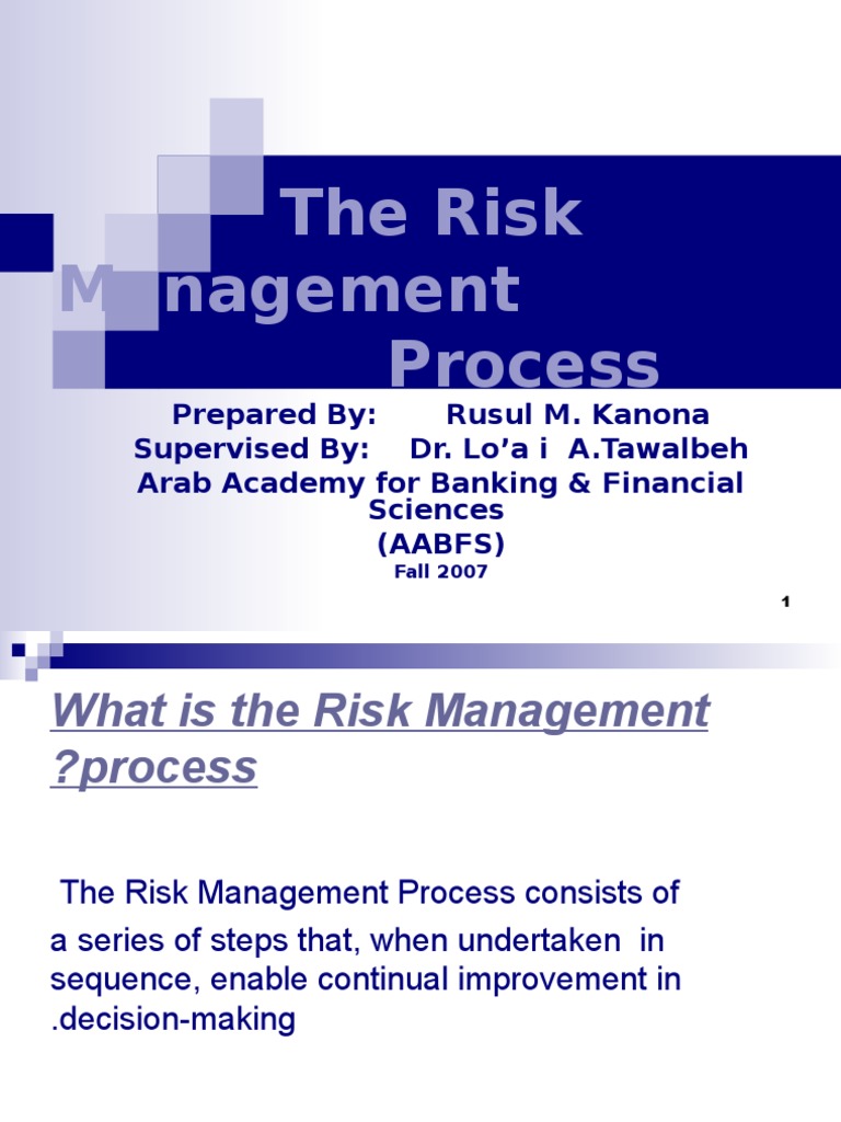 RMP | PDF | Risk | Risk Management