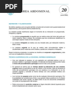 11 Tipos de Incisiones para Una Cesarea | PDF | Parto | El embarazo