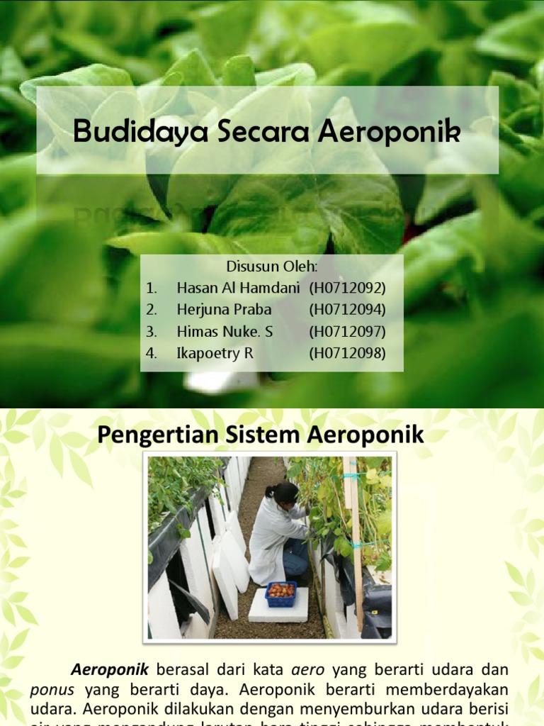 Sistem Hidroponik - Aeroponik | PDF