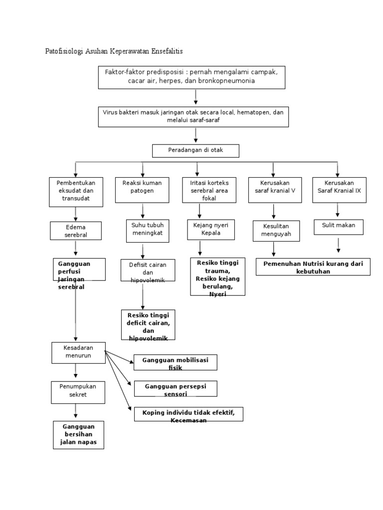 Patofisiologi Asuhan Keperawatan Ensefalitis | PDF