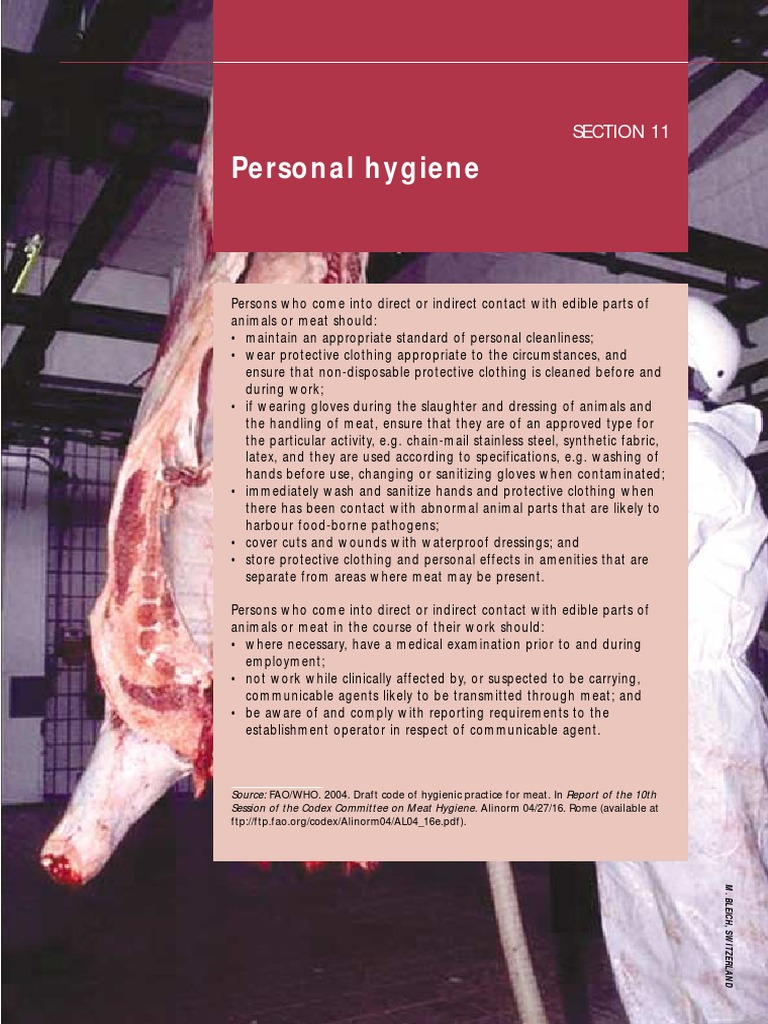 Personal Hygiene: Section 11 | PDF | Wellness | Medical
