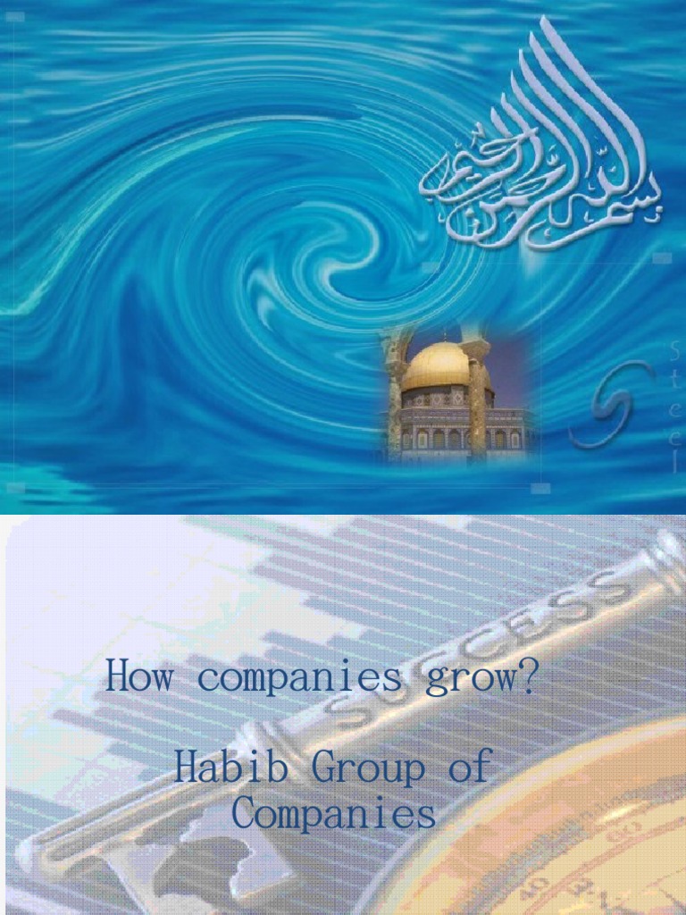 Habib Group: Strategies for Growth | PDF | Strategic Management | Banks
