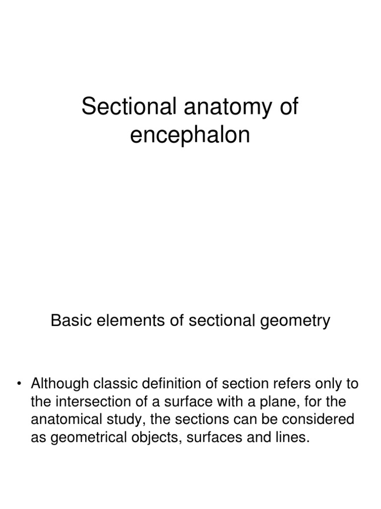 Sectional Anatomy of the Encephalon | PDF | Plane (Geometry) | Cerebellum