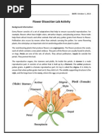 Lab Report - Phloem & Xylem | PDF | Plant Stem | Tissue (Biology)