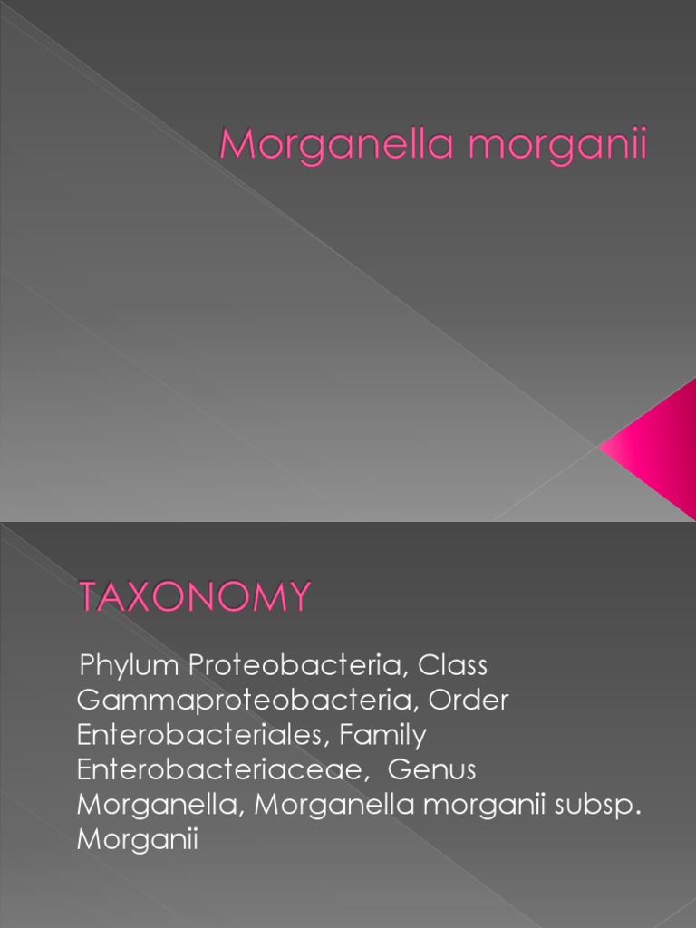 Morganella Morganii Icd 10 , Morganella morganii: A Rare Cause of Early ...