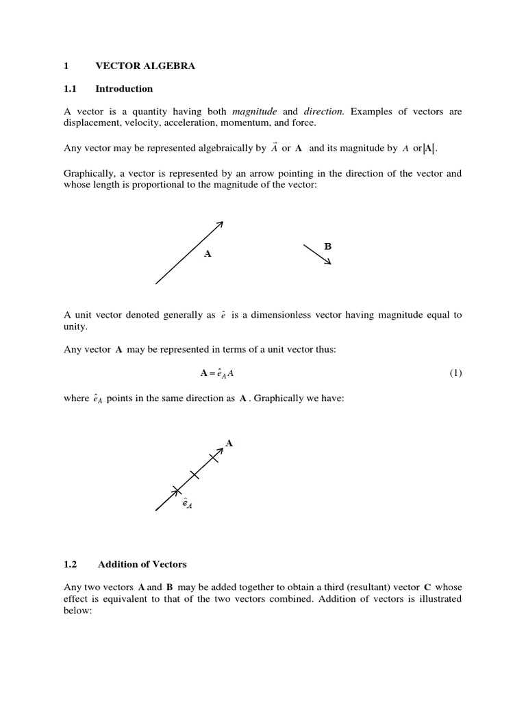Lecture I | PDF | Euclidean Vector | Scalar (Mathematics)