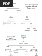 Nugent Score for Bacterial Vaginosis | PDF | Clinical Pathology ...