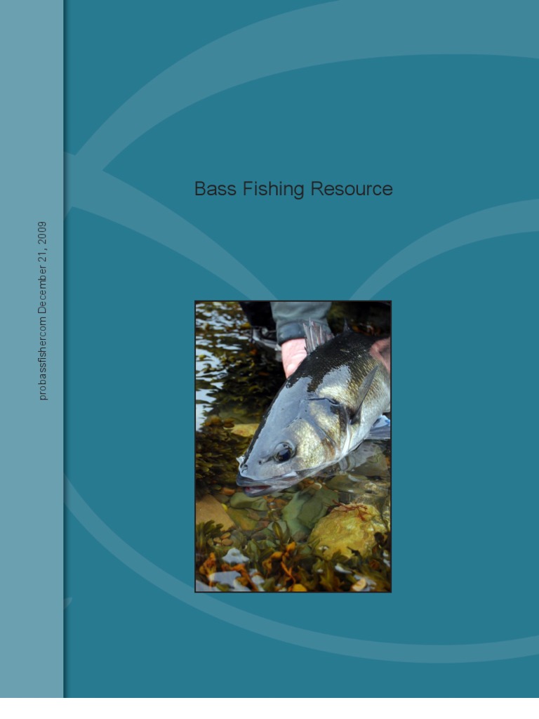 Bass Fishing Resources - Notes and Observations | Download Free PDF ...