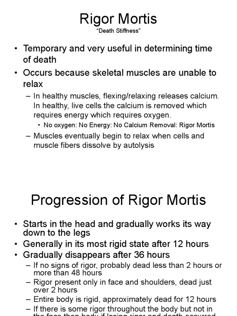 Human Algor Mortis