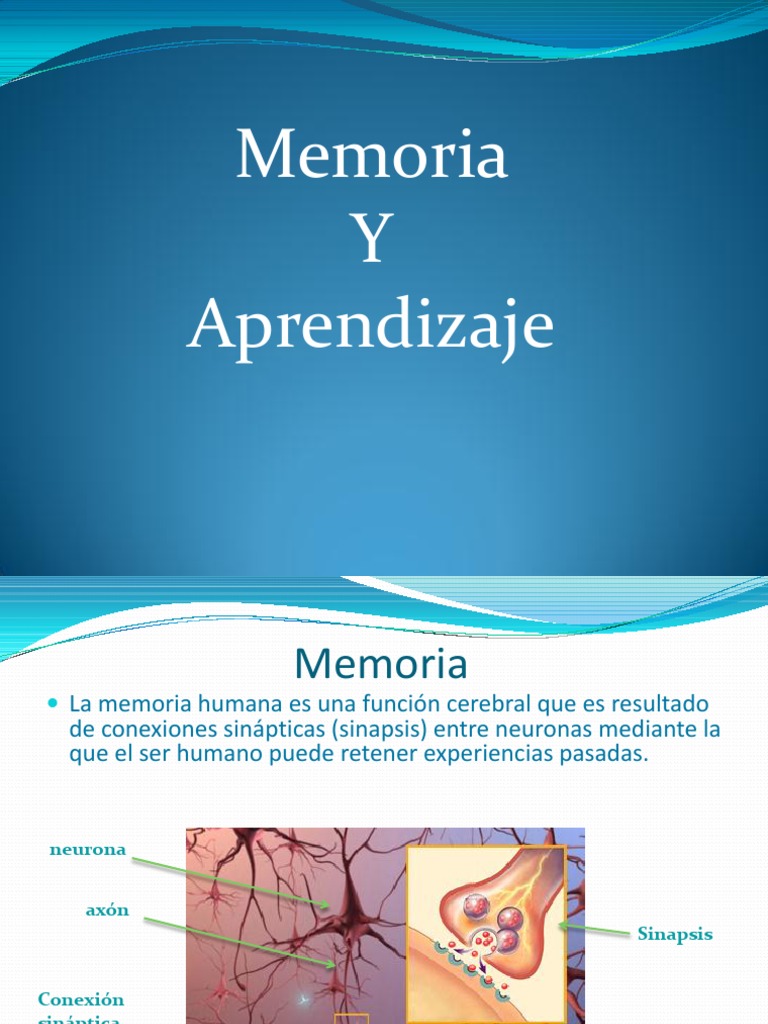 Memoria Y Aprendizaje 1211410888893846 9 Pdf Sinapsis Memoria