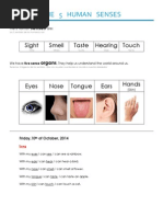 5 Senses Booklet | PDF