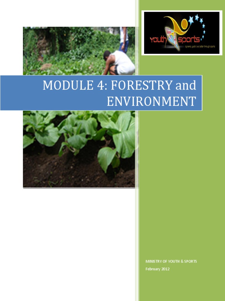 Module 4 - Forestry & Environment PDF | PDF | Grafting | Forestry