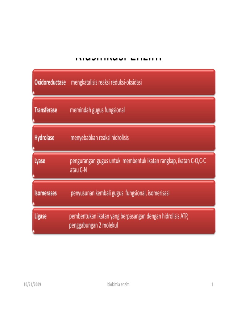 Klasifikasi Enzim untuk Mahasiswa | PDF | Sains & Matematika