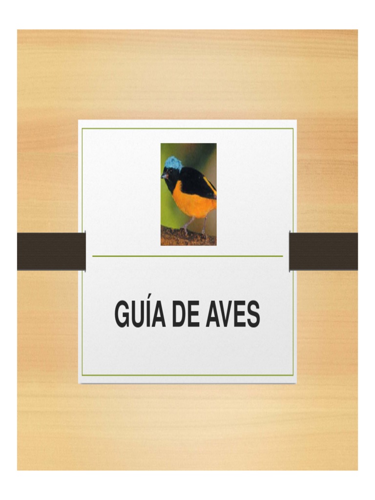 Guia Aves PDF | PDF | Color | Aves