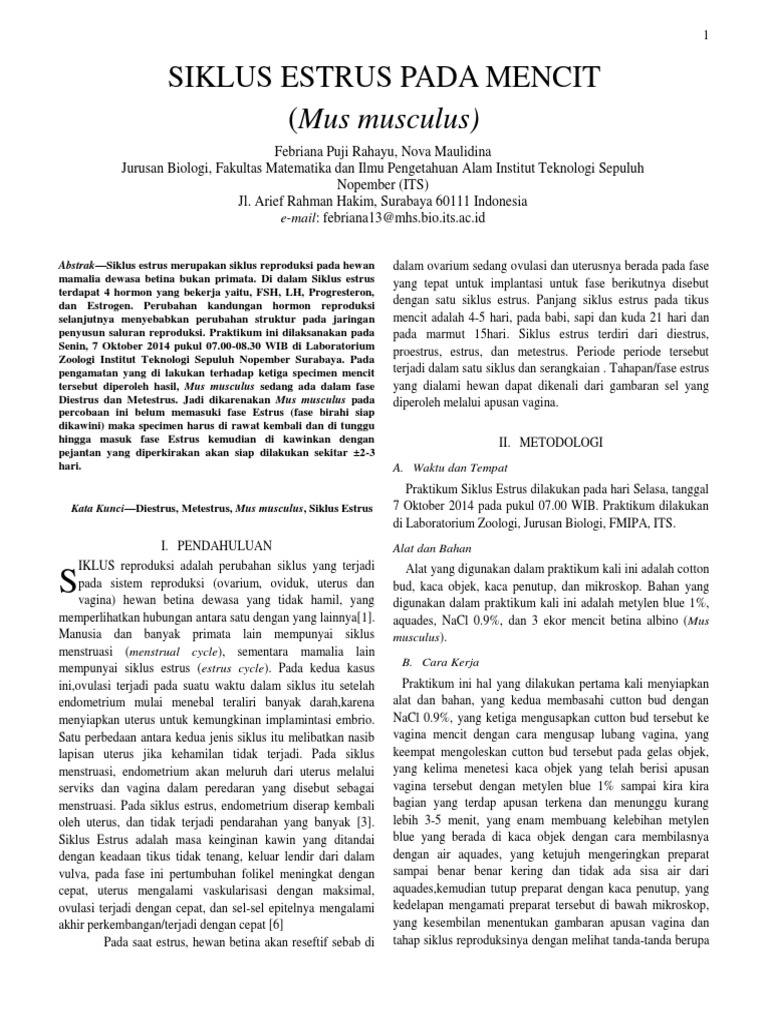 Siklus Estrus Pada Mencit | PDF