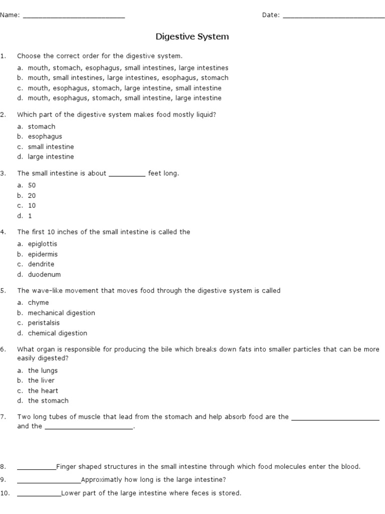 Digestive System - Free Printable Tests and Worksheets - HelpTeaching ...