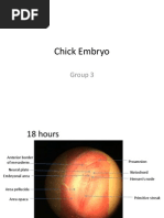 72-Hour Chick Embryo Development Stages | PDF | Wellness