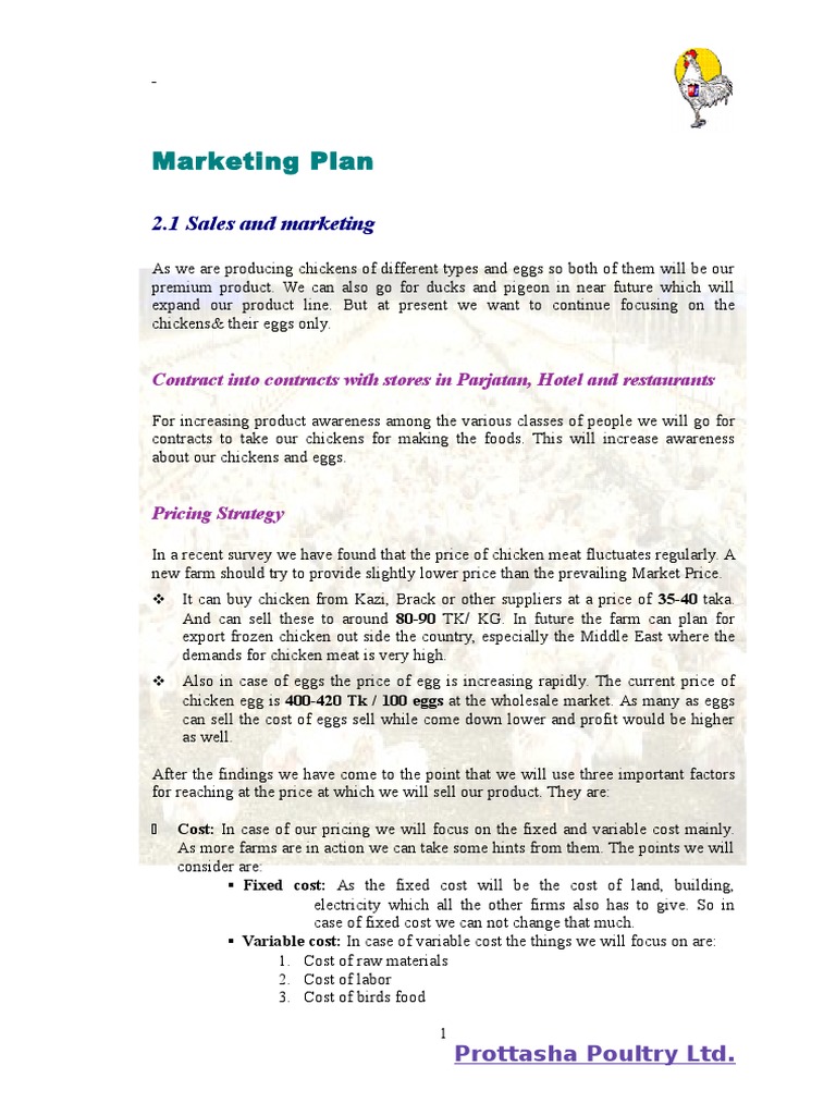 Marketing Plan | Download Free PDF | Pricing | Demand