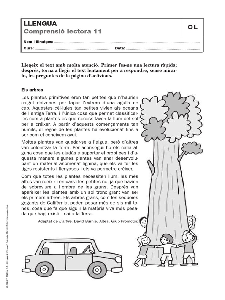 Comprensión Lectora Els Arbres PDF | PDF