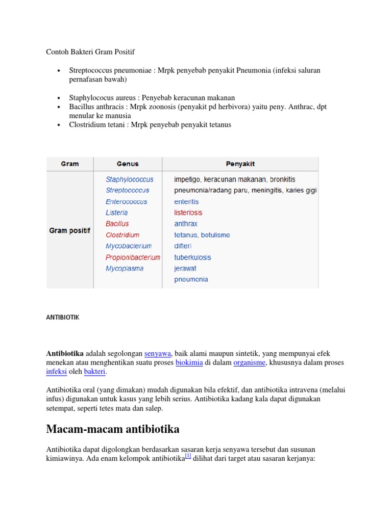 Contoh Bakteri Gram Positif | PDF